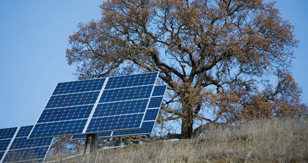 Omexom is building eight photovoltaic solar power plants in Senegal